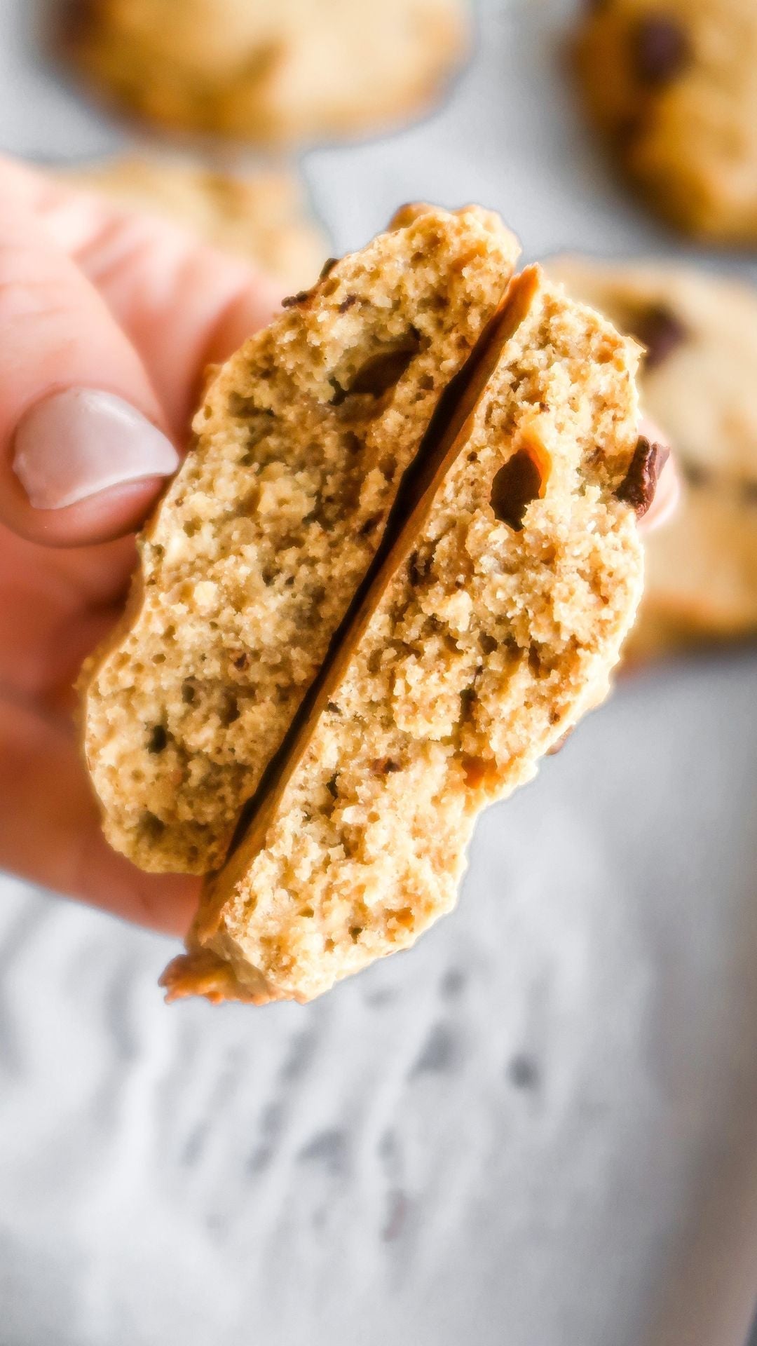PROTEIN CHOC CHIP COOKIES